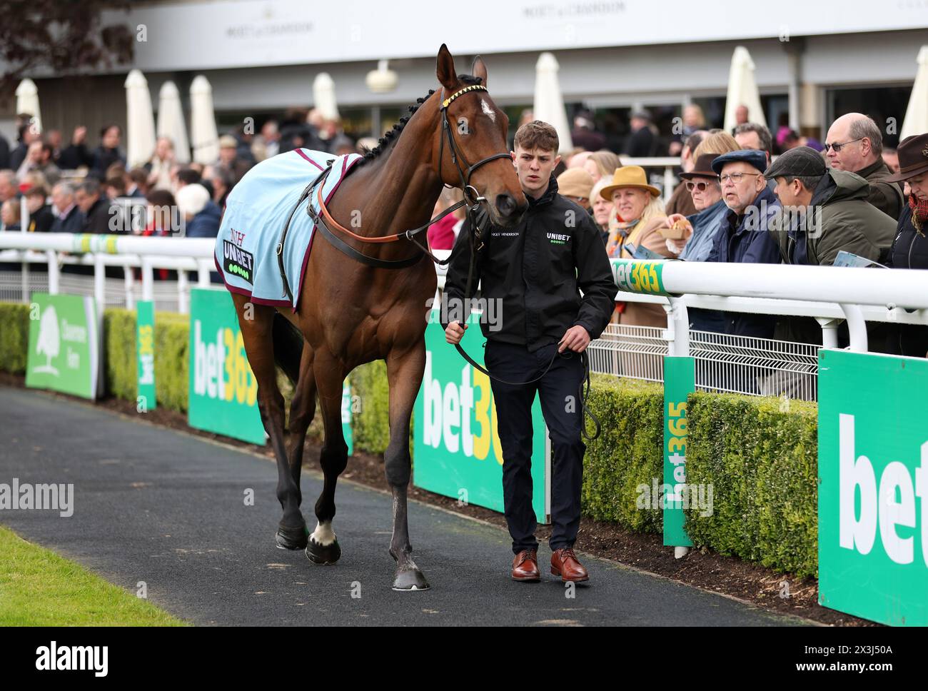 Sir gino racing hi-res stock photography and images - Alamy