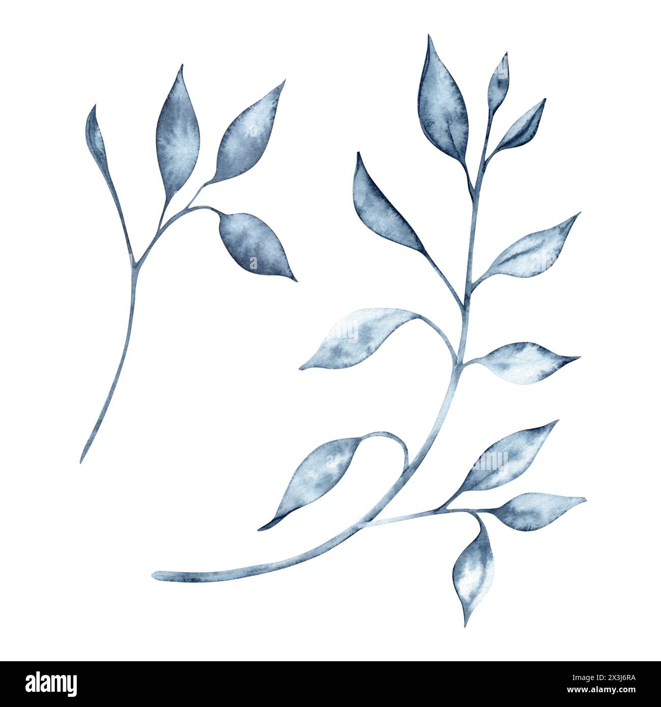 Blue abstract leaves watercolor illustration. Hand drawn botanical ...