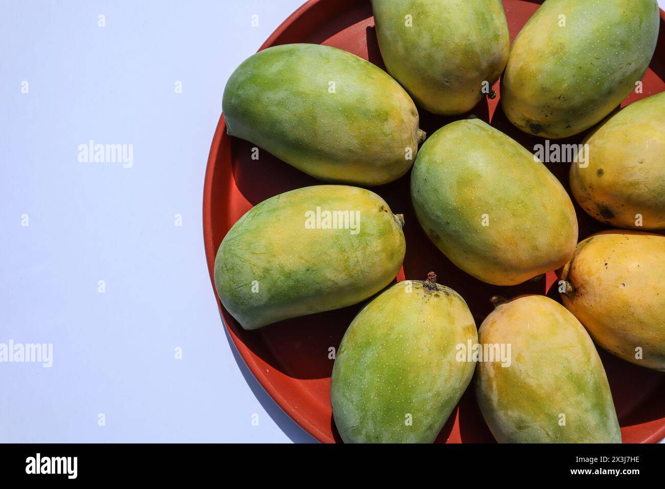 Delicious Mango fruits arrange on plate, King of fruits Mango Kesar ...