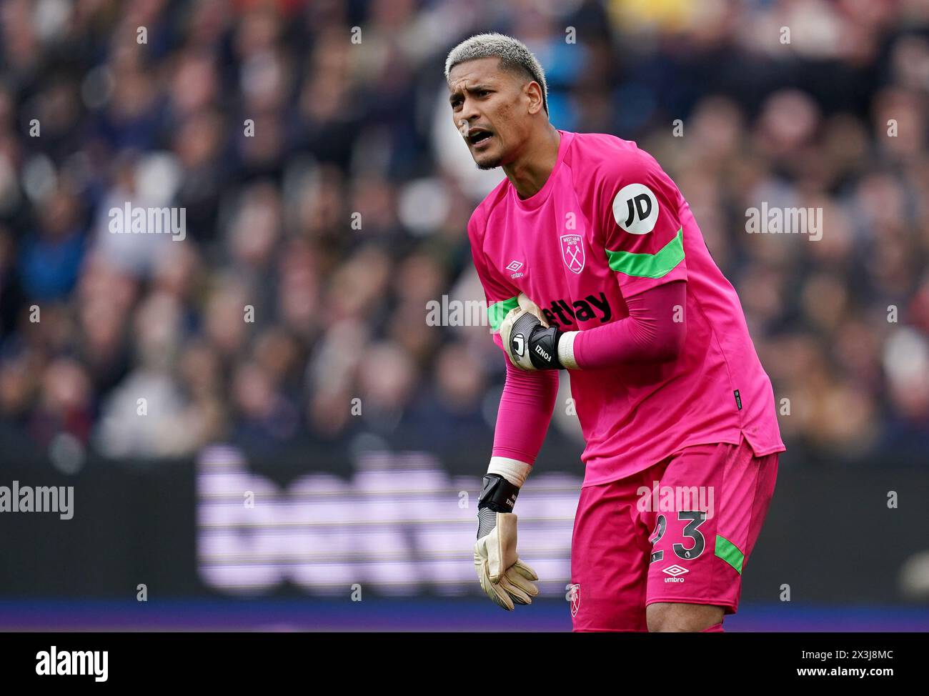 West Ham United goalkeeper Alphonse Areola during the Premier League ...