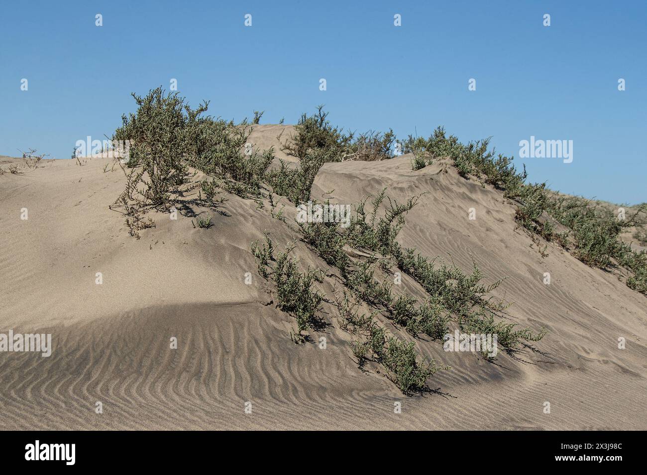 Small sand dune on the beach at Oranjemund Stock Photo - Alamy