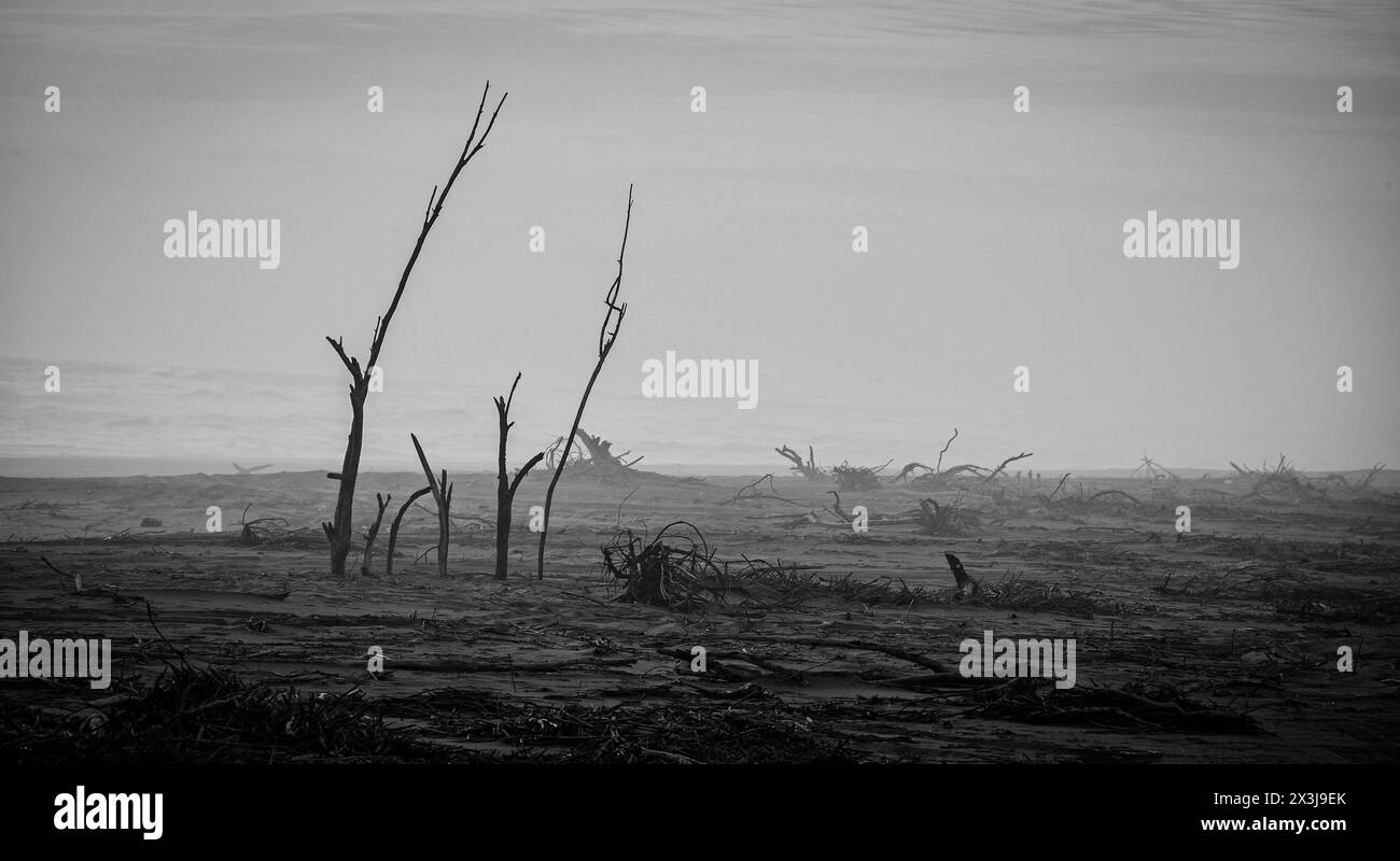 African beach scene Black and White Stock Photos & Images - Alamy