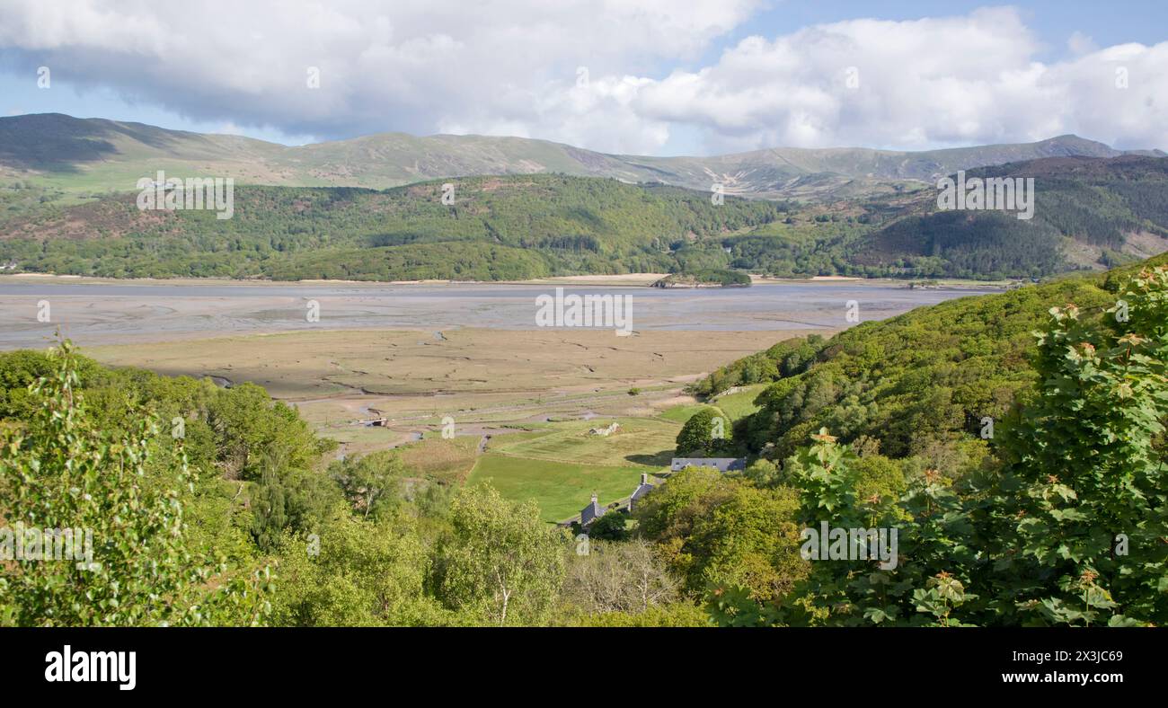 Looking across the Mawddach Estuary, Eryri (Snowdonia) national park ...
