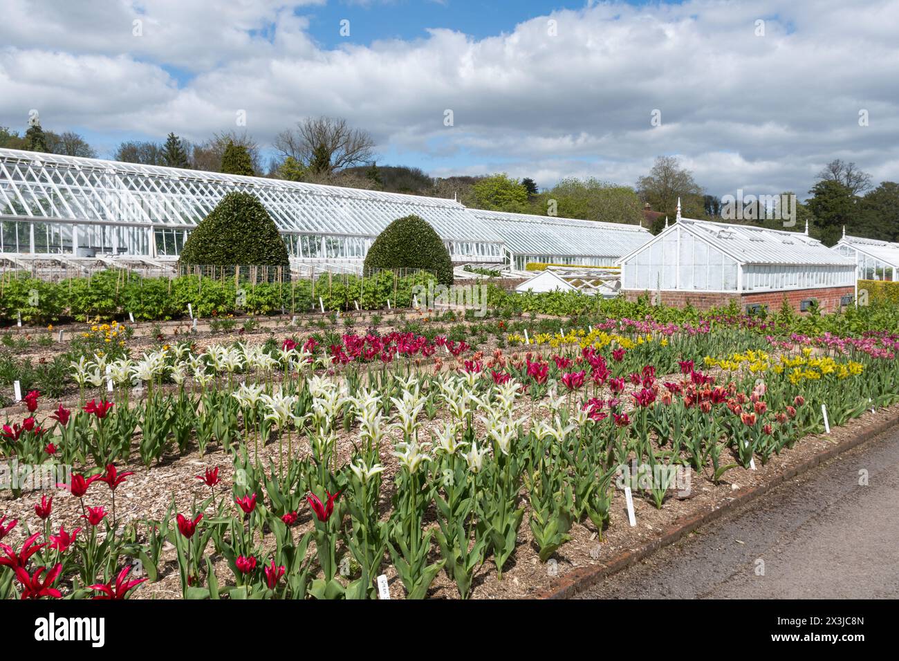 West Dean Gardens during spring with colourful tulips and historic ...