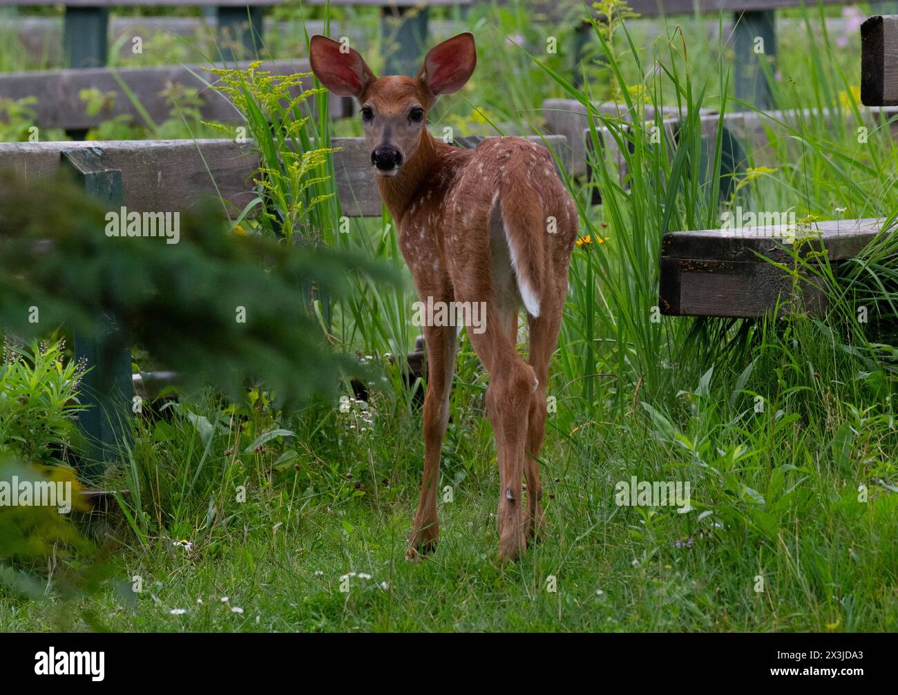 Schlitz audobon nature center hi-res stock photography and images - Alamy