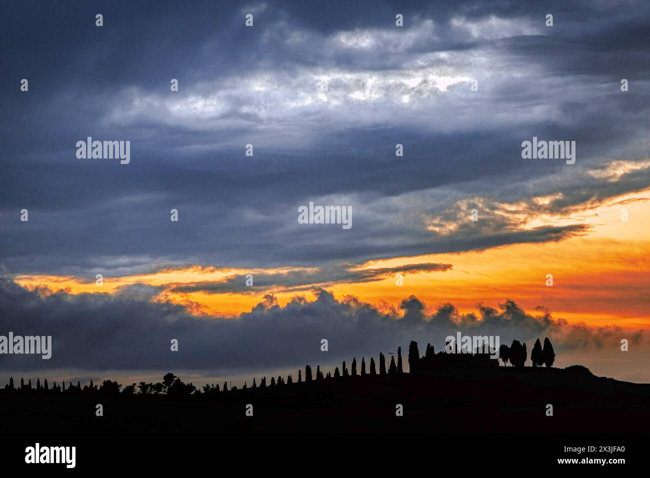 Tuscan scenery with cypress trees silhouette during a dramatic sunset ...