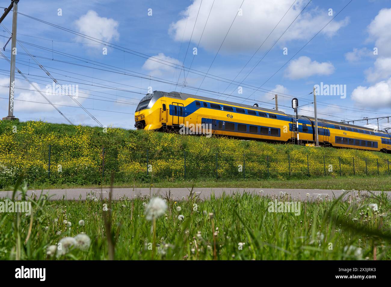 Leiden, Netherlands. An NS (Dutch Railways) intercity train races past ...