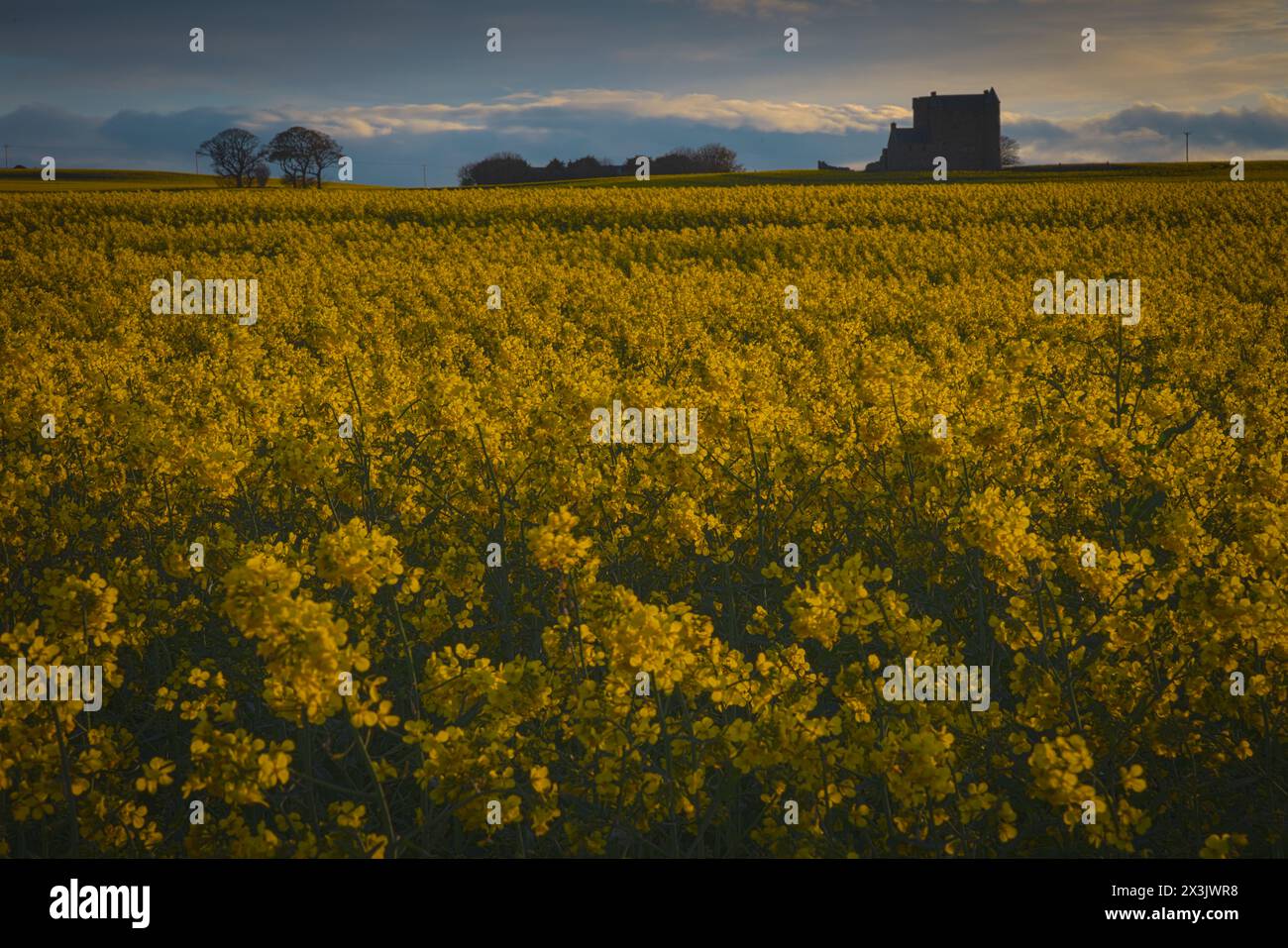 Banff castle scotland hi-res stock photography and images - Alamy