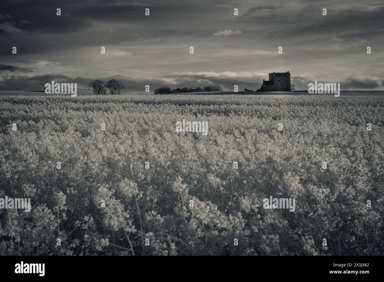Banff castle scotland hi-res stock photography and images - Alamy