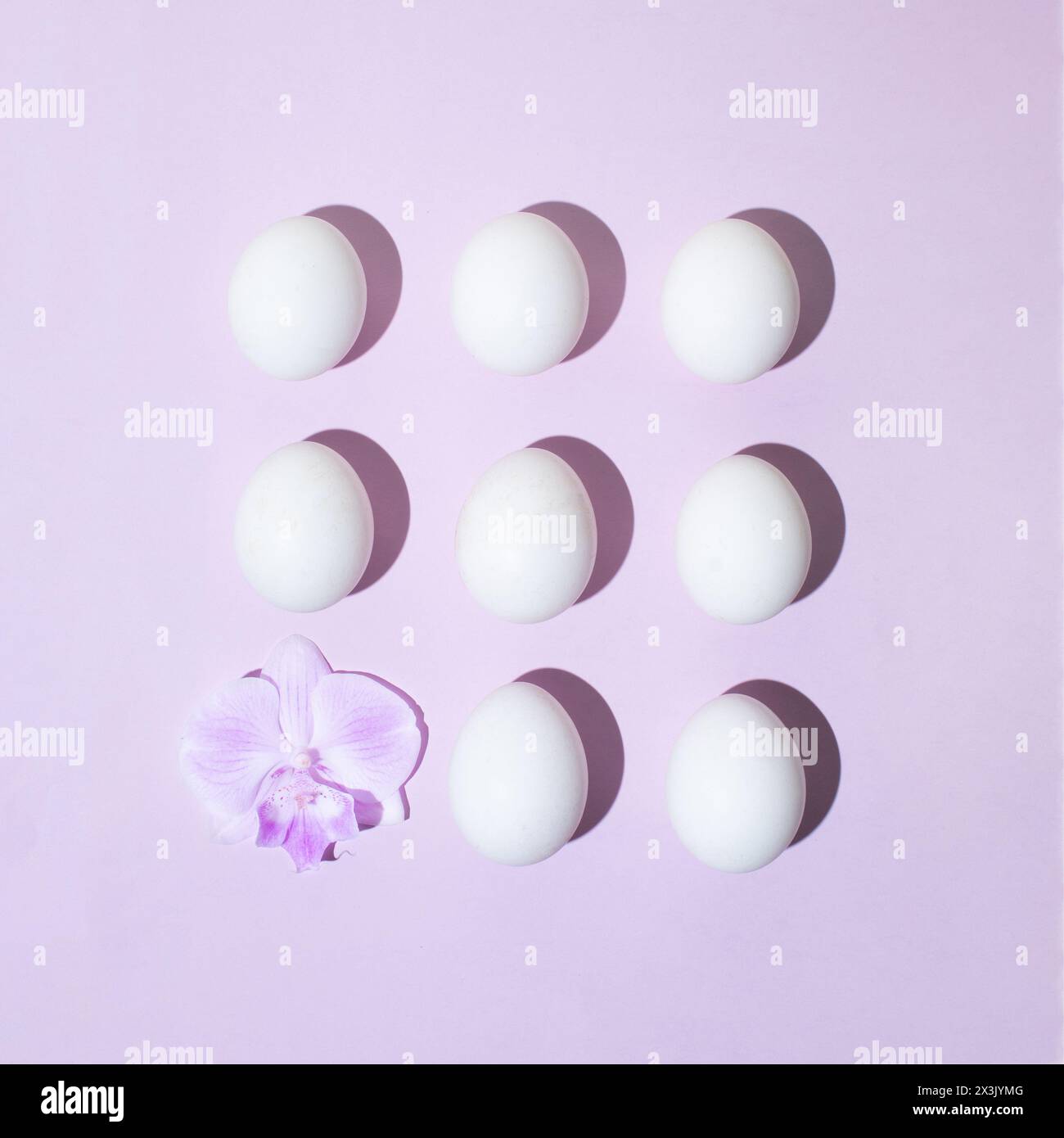 Creative layout made of eggs and orchid flower on pastel purple ...