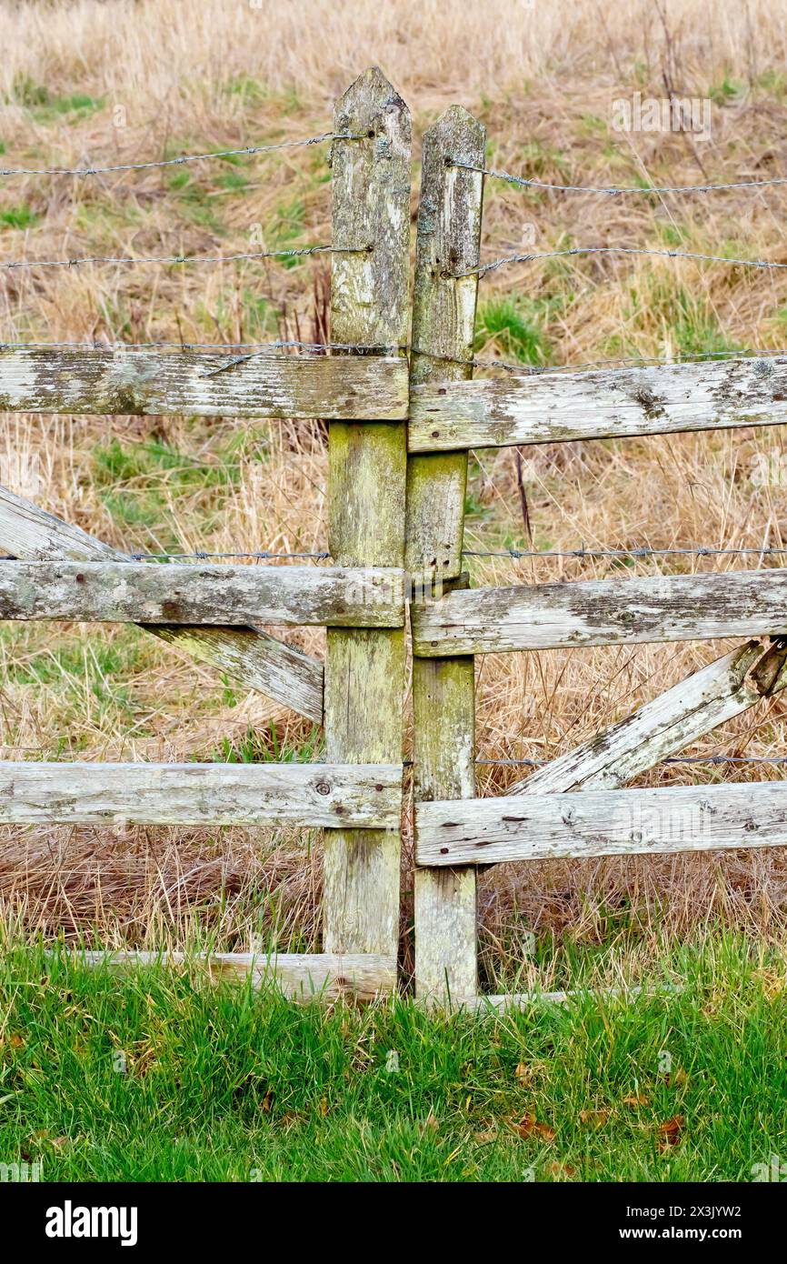 Close up of a rickety, weathered old wooden gate on a piece of farmland ...