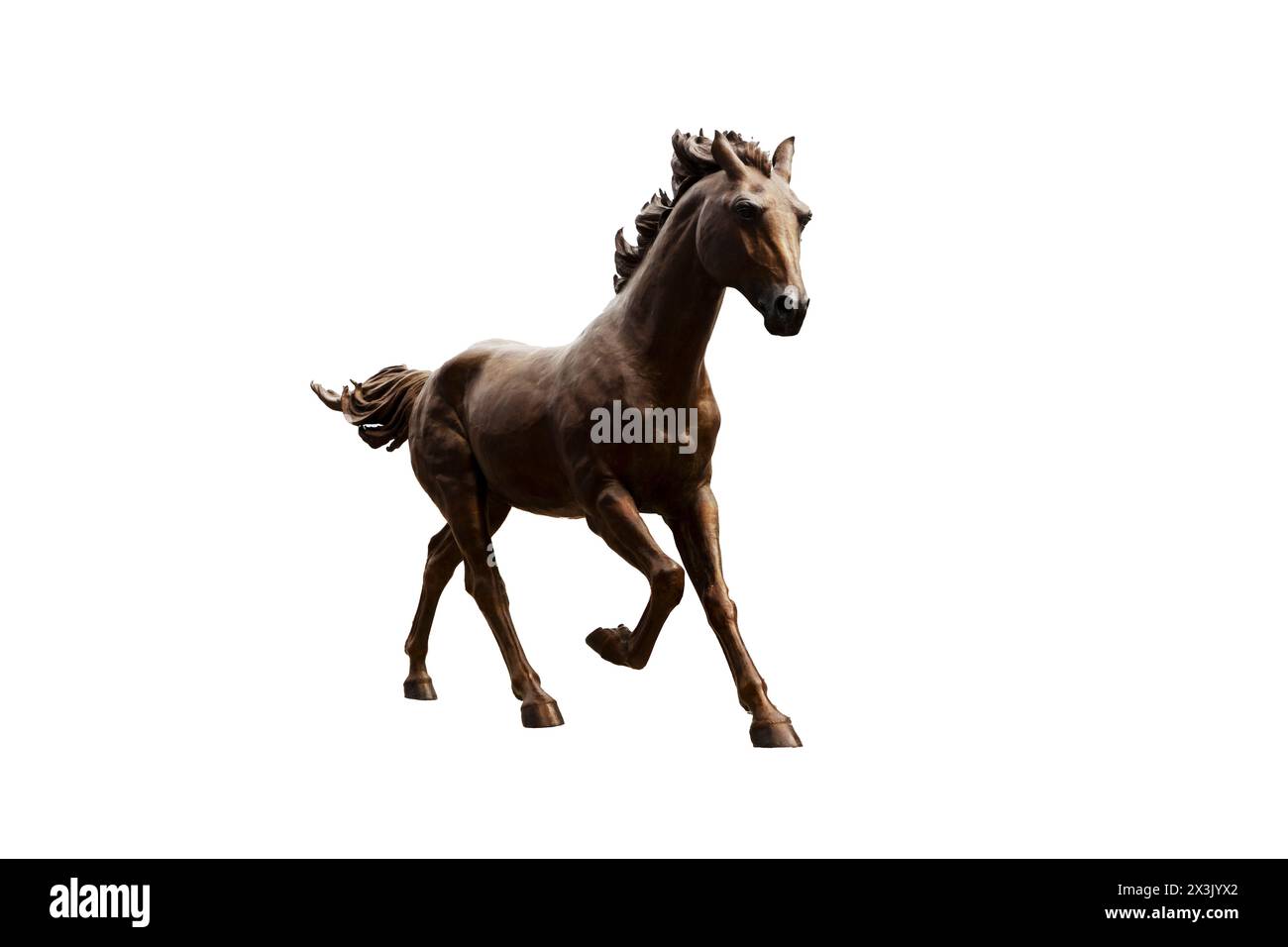 Dark stallion horse isolated on white background Stock Photo - Alamy