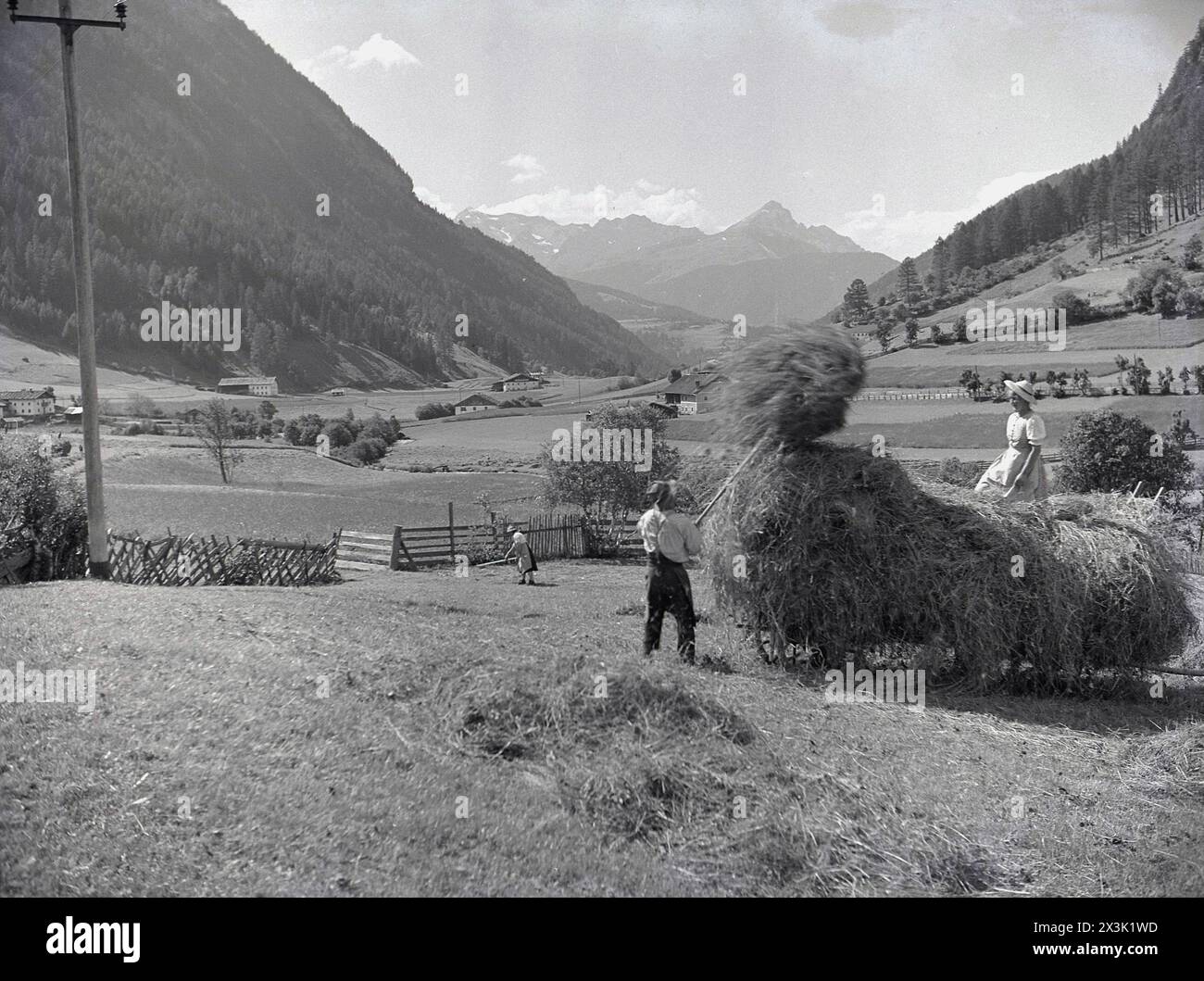 1950s, historical, family working on a smal farm in the mountains, outside in a field, a farmer ...