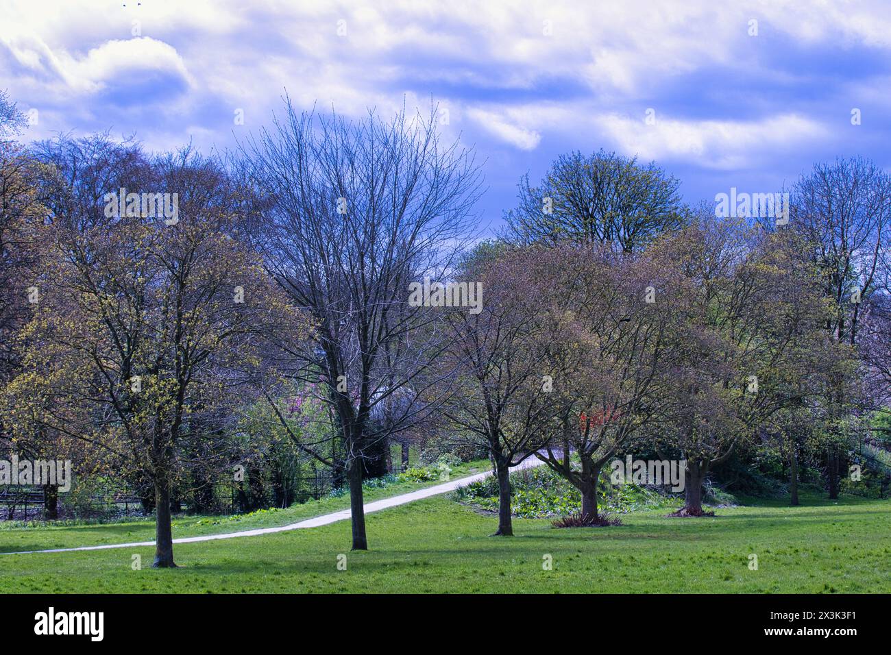 Vibrant spring park scene with lush green trees and a winding path ...