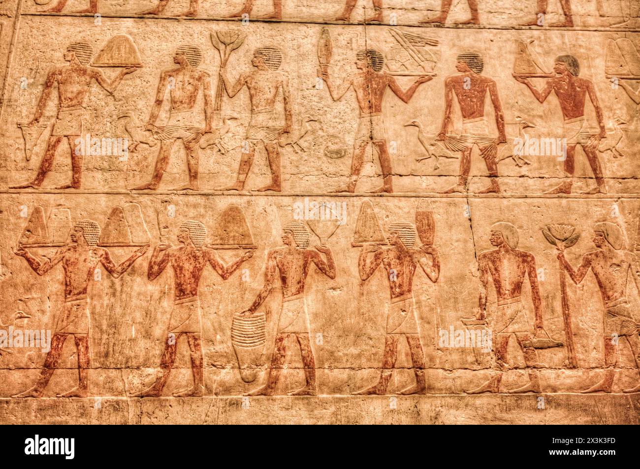 Reliefs, Mastaba of Ty, Necropolis of Saqqara, UNESCO World Heritage ...