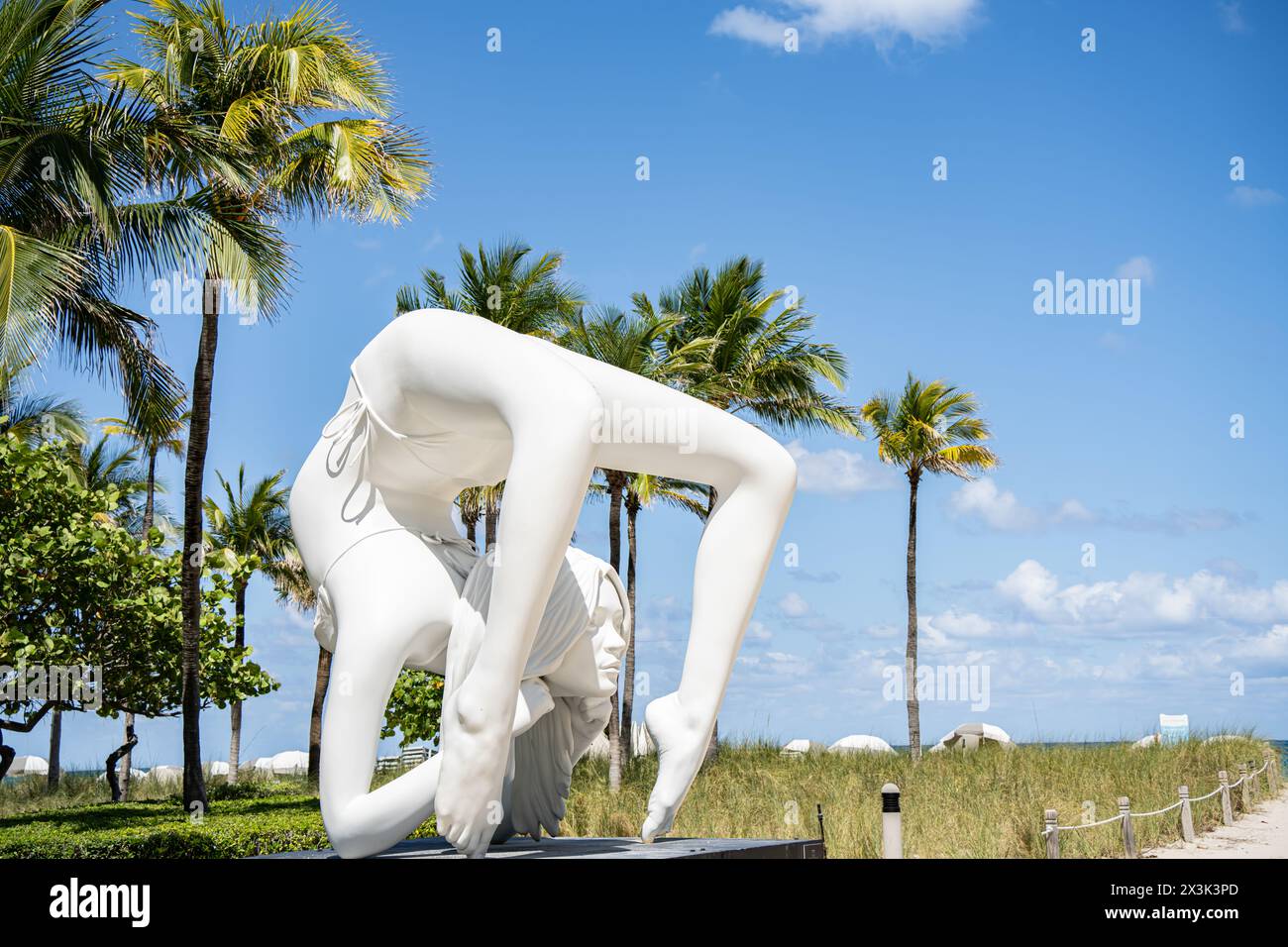 Fortuna silhouette hi-res stock photography and images - Alamy