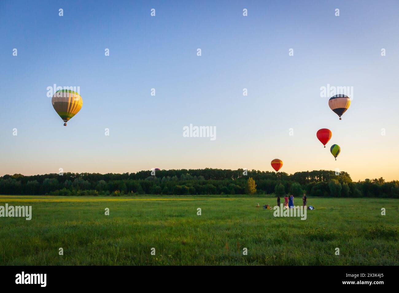 Hot air balloons in clear sky over trees. Colourful balloons on aerial ...