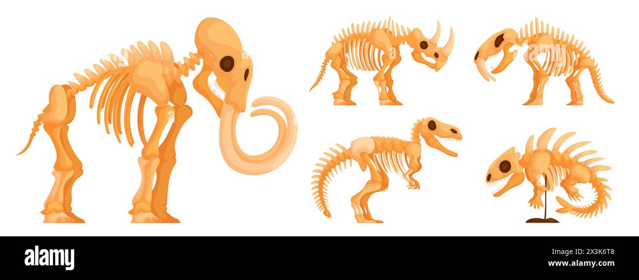 Set of dinosaur skeletons. Collection of skeletons of dinosaurs ...