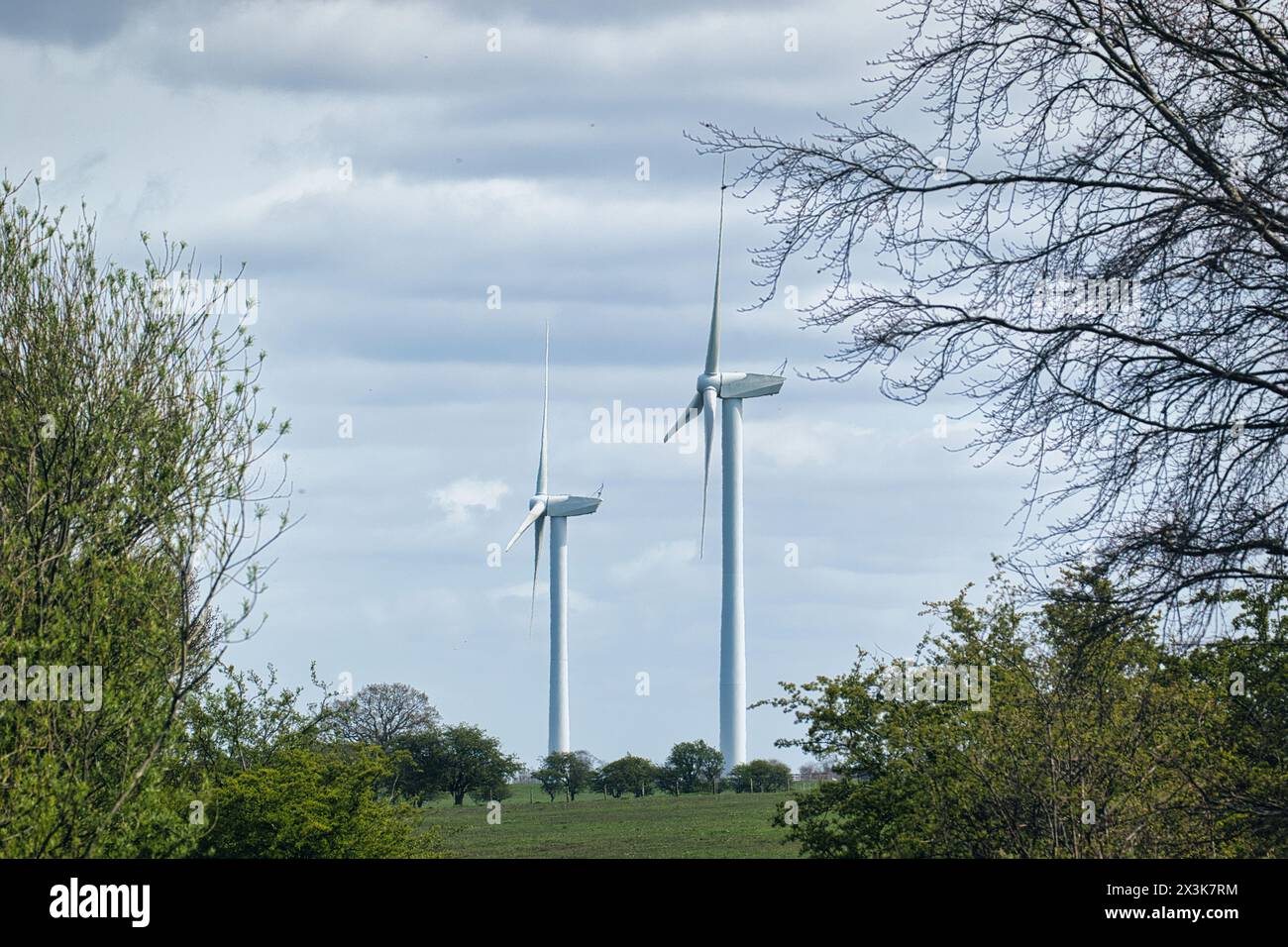 Wind turbines standing tall in a lush green field with trees under a ...