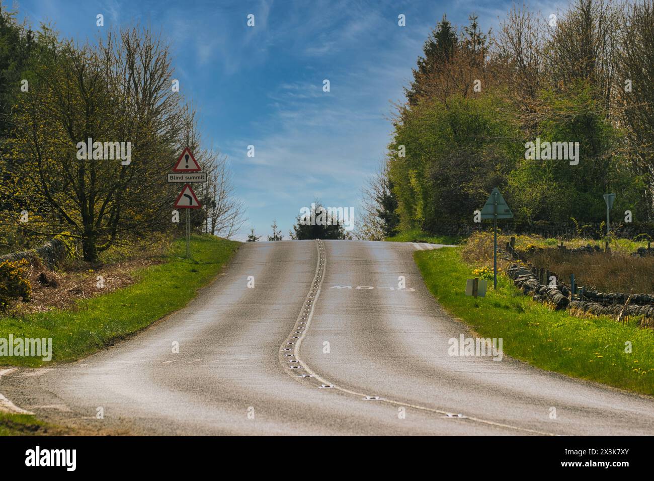 A scenic rural road with warning road signs, surrounded by lush green ...