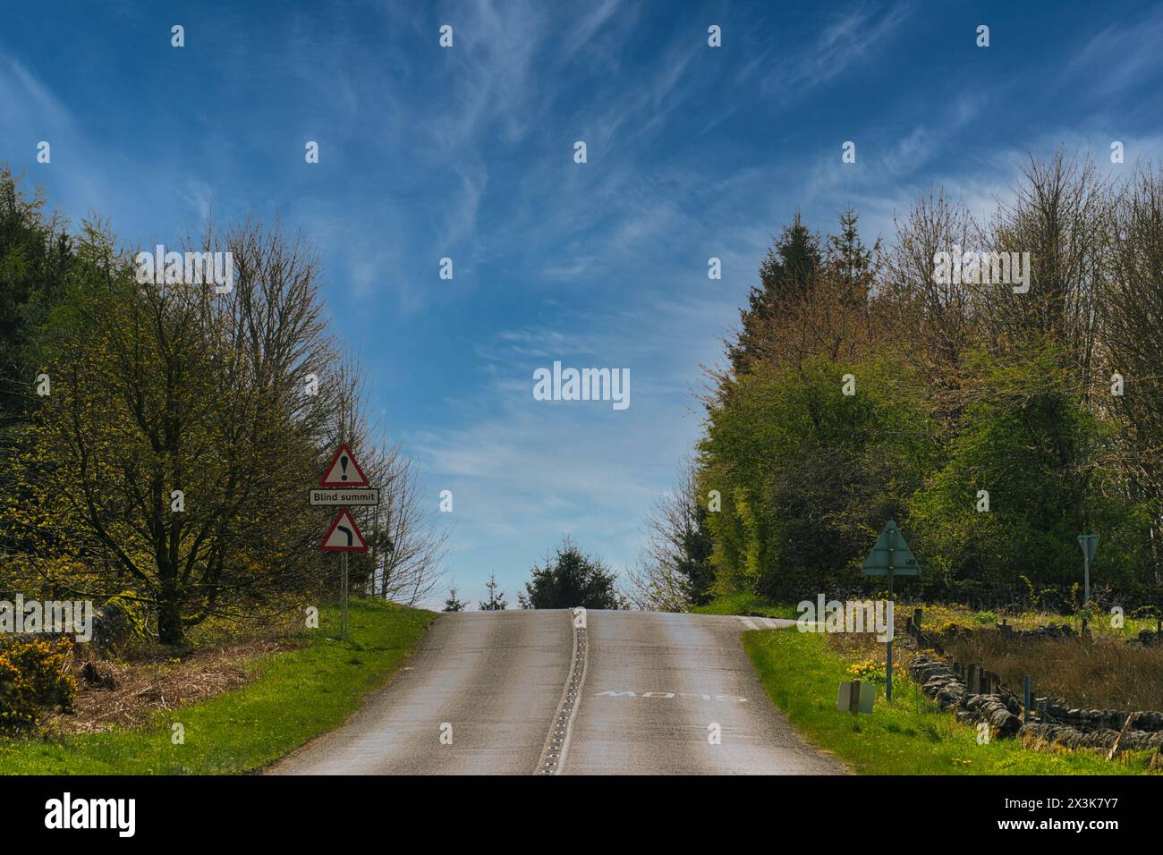 Scenic rural road flanked by lush green trees under a clear blue sky ...