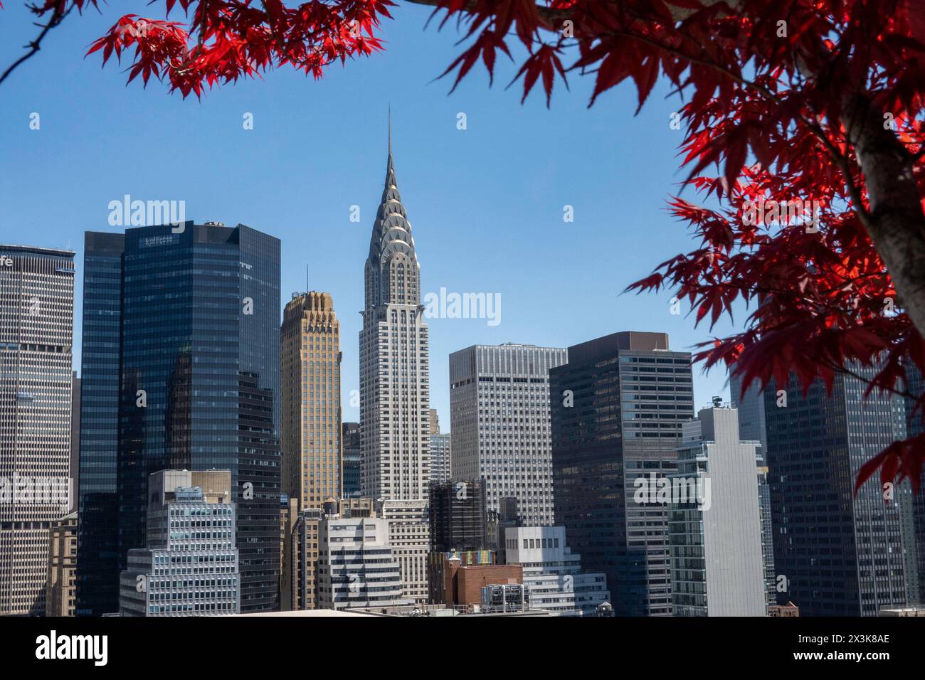 View of Manhattan Midtown skyline from a luxury co-op apartment roof ...