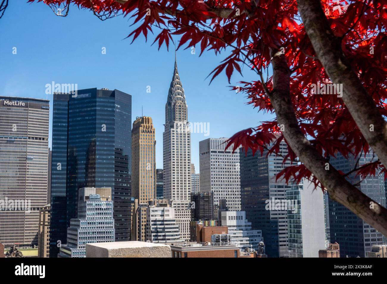 View of Manhattan Midtown skyline from a luxury co-op apartment roof ...