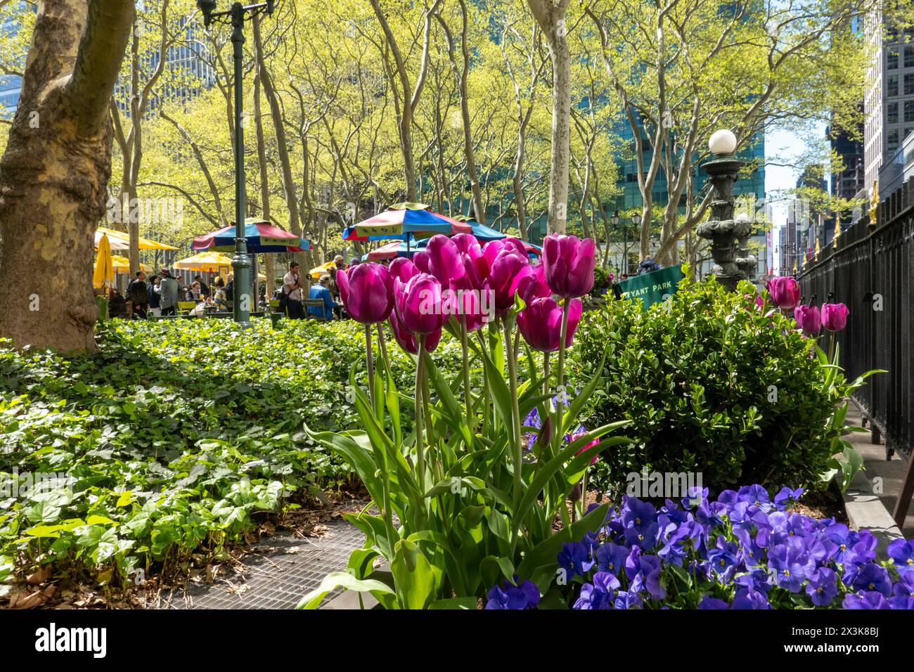 Bryant Park is an urban oasis behind the main building at the New York ...