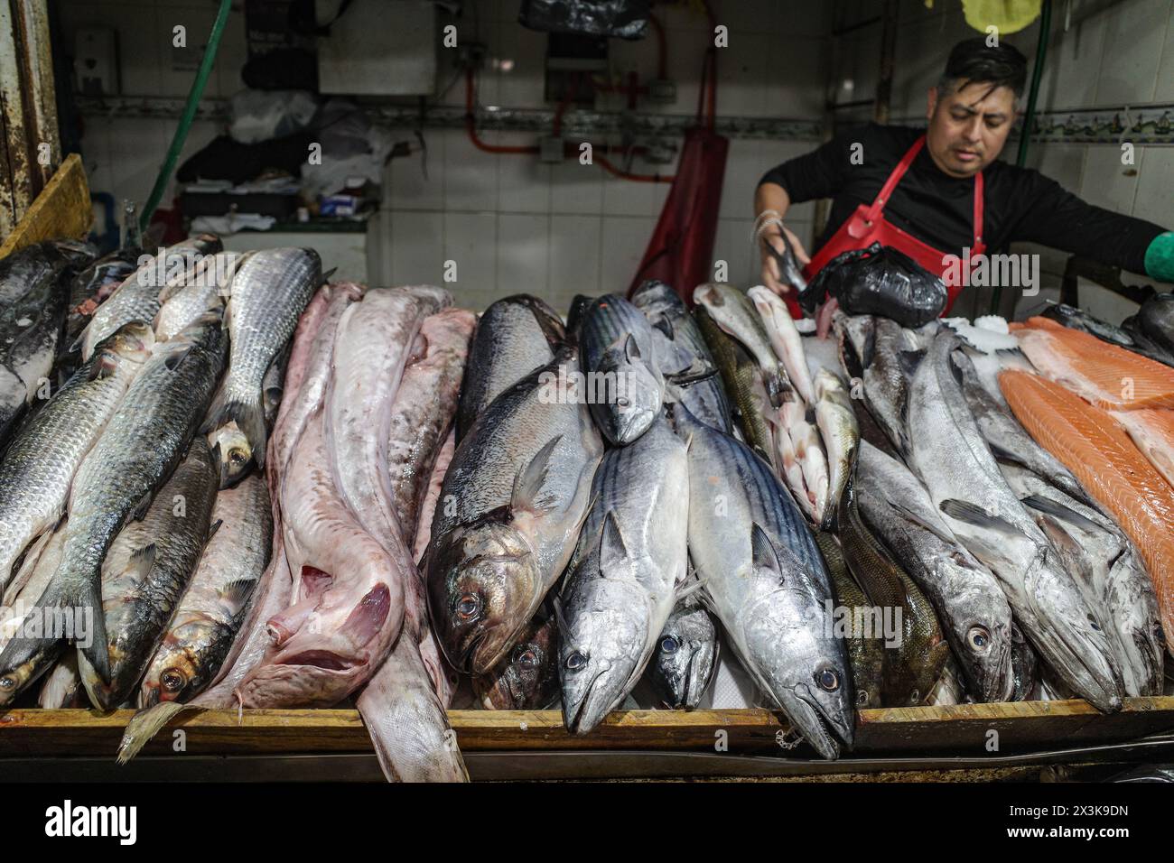 Santiago, Chile - 26 Nov, 2023: Fresh Fish and Seafood on sale at ...