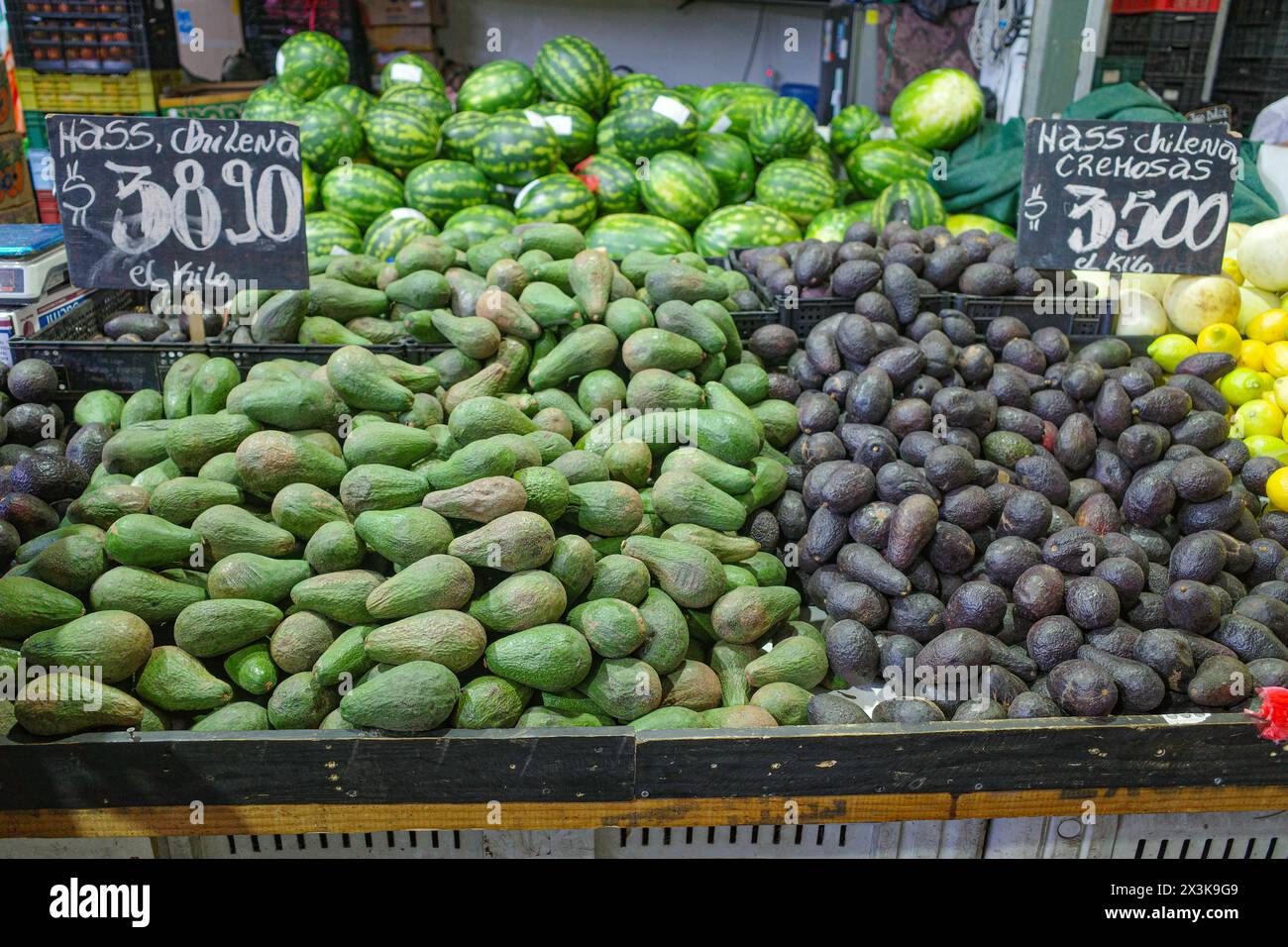 Santiago, Chile - 26 Nov, 2023: Avocados on sale at the Mercado La Vega ...