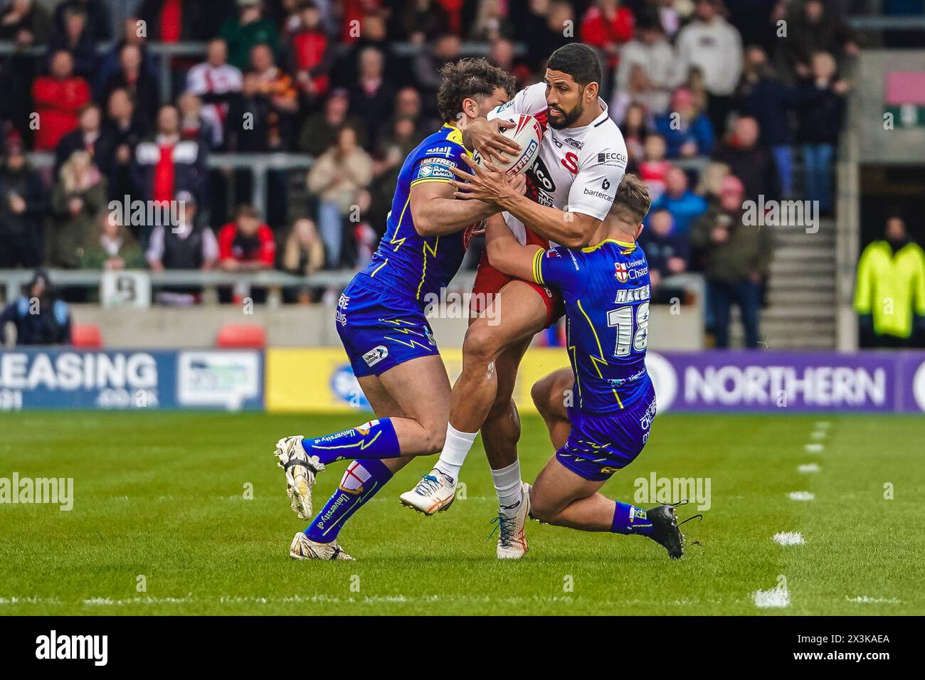 Nene king hi-res stock photography and images - Alamy