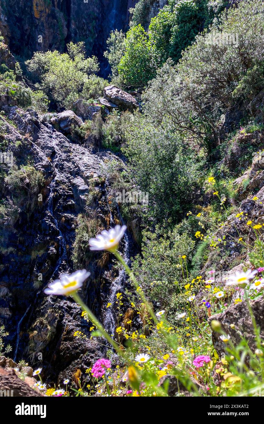 Hiking trail to waterfalls over river Caballos, Sierra de la Nieves ...