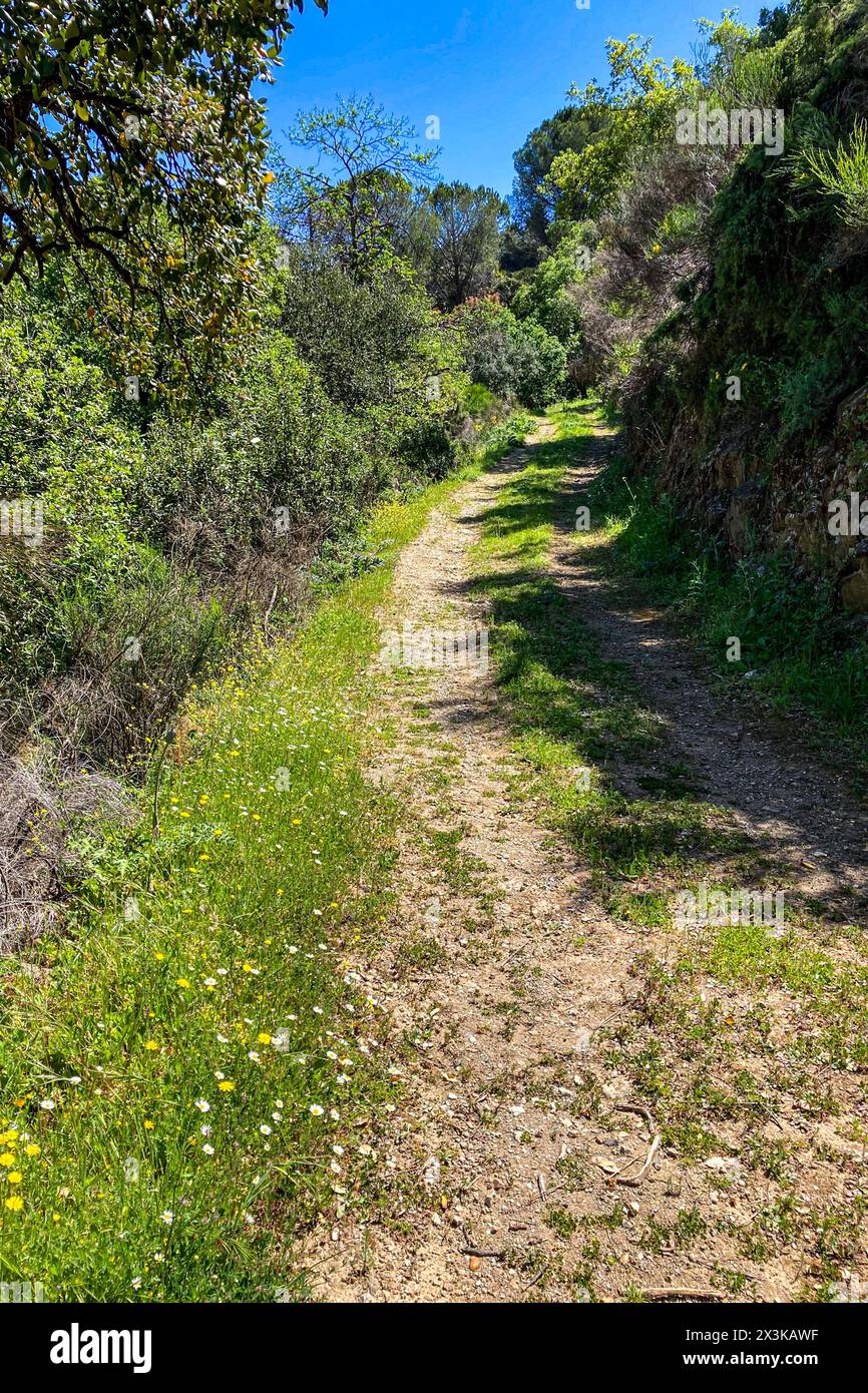 Hiking trail to waterfalls over river Caballos, Sierra de la Nieves ...