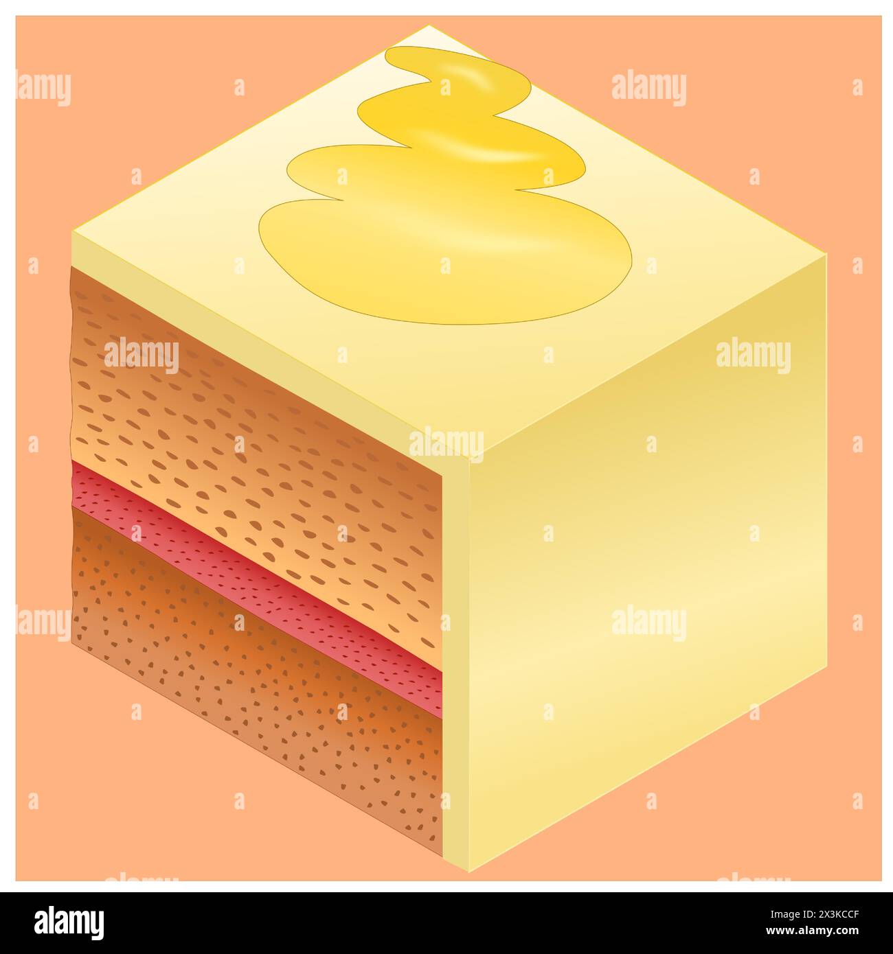 The cube of dessert with marzipan icing and whipped cream on top Stock ...