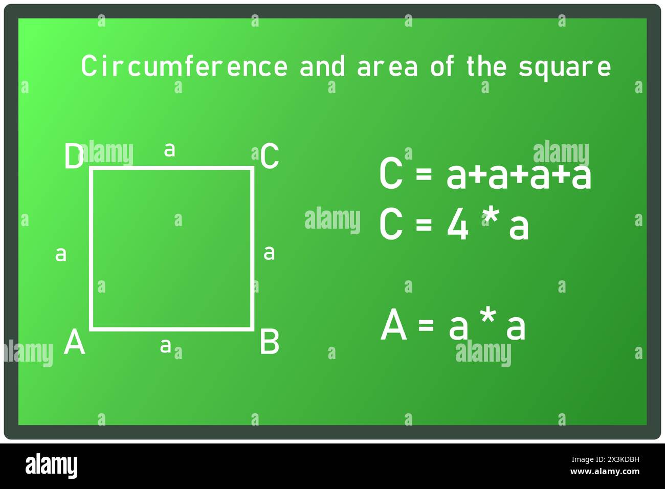 The graphic representation of the circumference and area of a square ...
