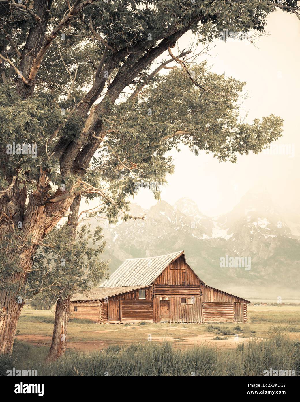 Historic John Moulton barn on Mormon Row seen from Grand Teton National ...
