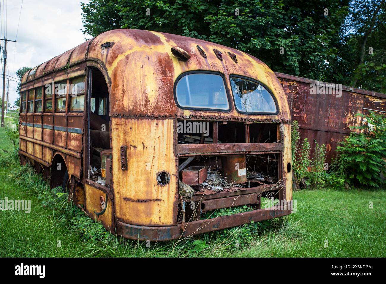 Abandoned rusty yellow school bus in overgrown outdoor setting Stock ...