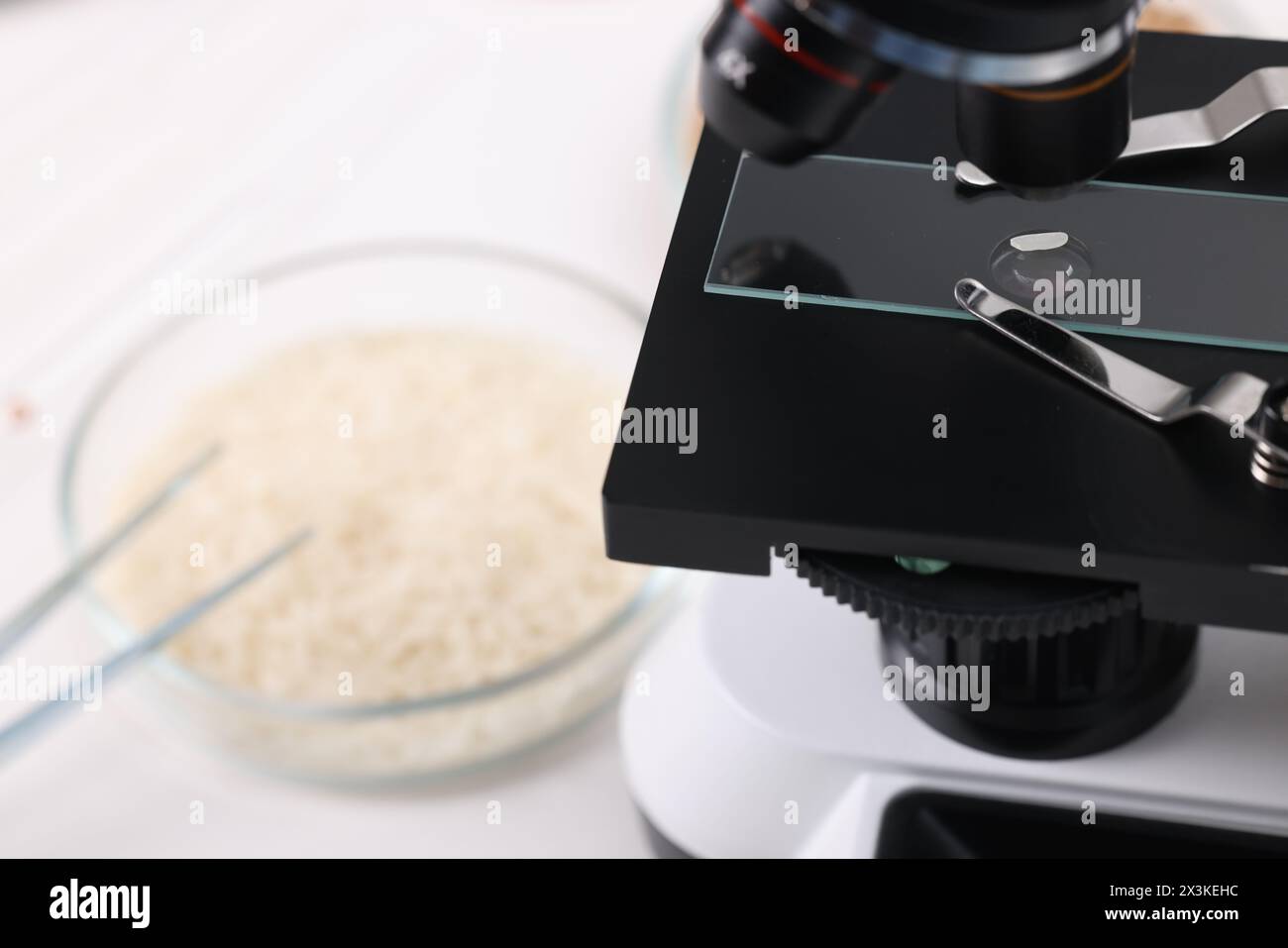 Food quality control. Glass slide with rice grain under microscope on ...