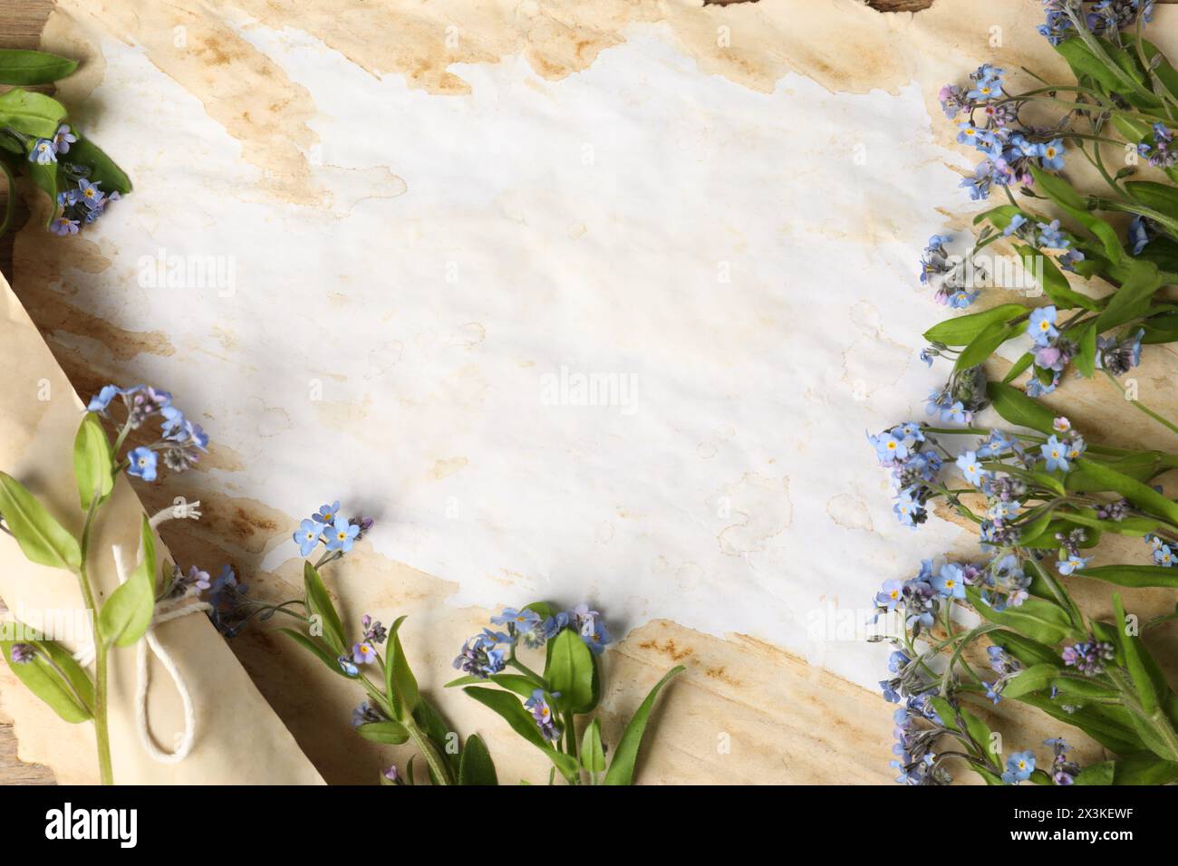 Beautiful forget-me-not flowers and old parchment, top view Stock Photo ...