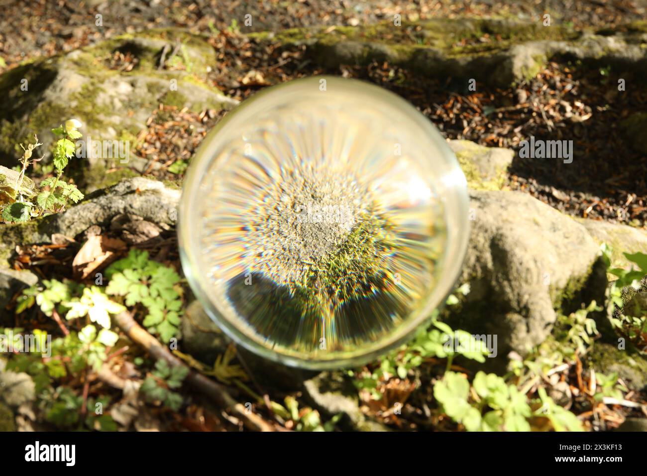 Ground with green moss outdoors, overturned reflection. Crystal ball on ...