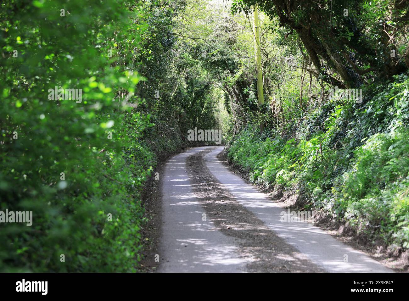 Generic brook hi-res stock photography and images - Alamy