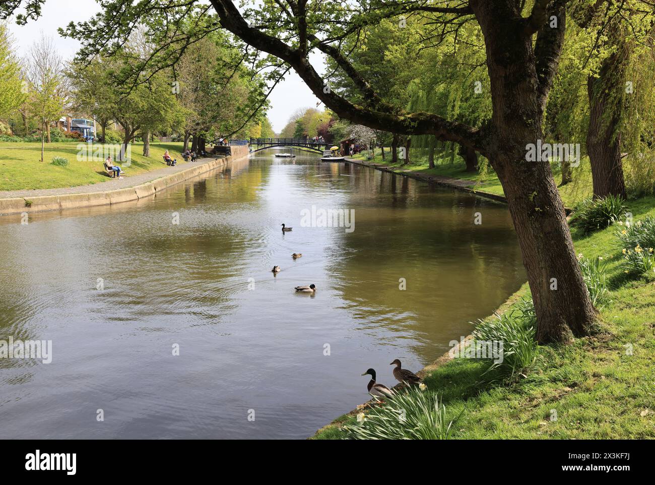 The Royal Military Canal in Hythe, built between 1804 and 1809 as a ...