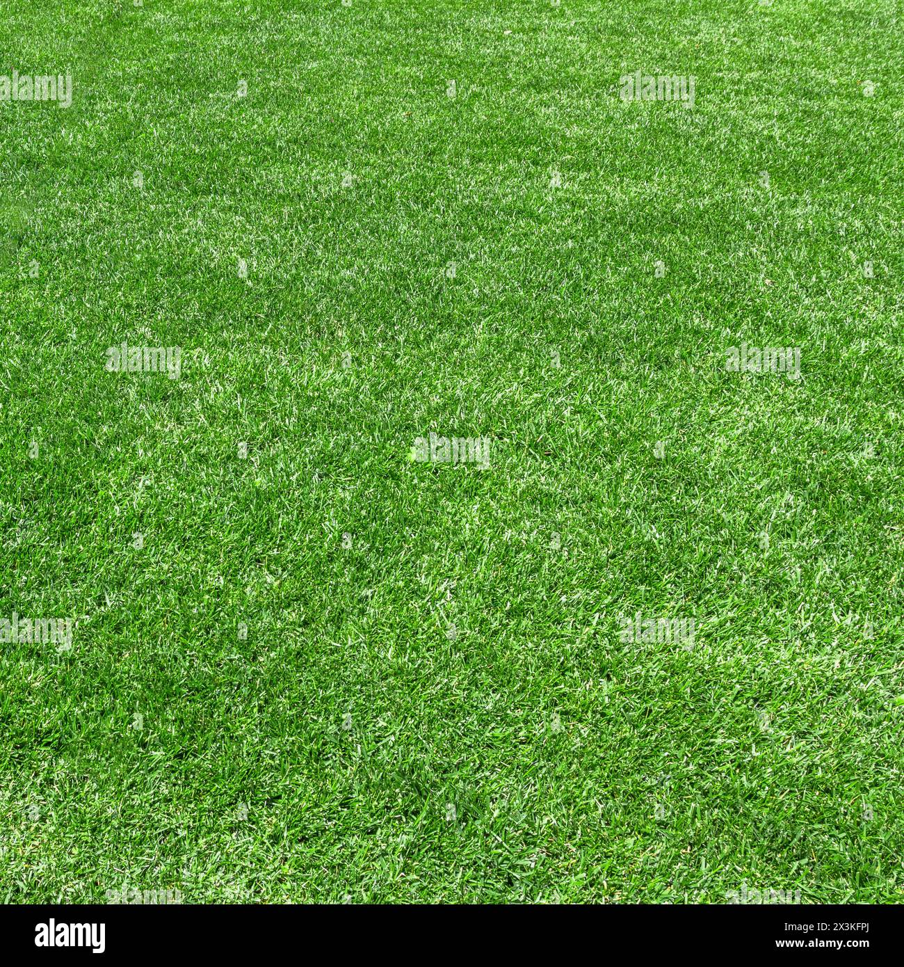Synthetic grass background. Surface of fake green grass for background ...