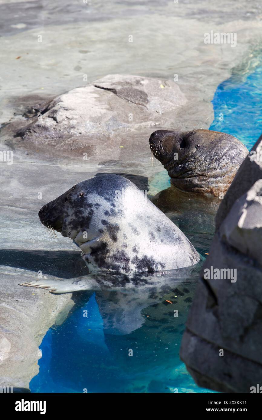 Imaginative seascape hi-res stock photography and images - Alamy