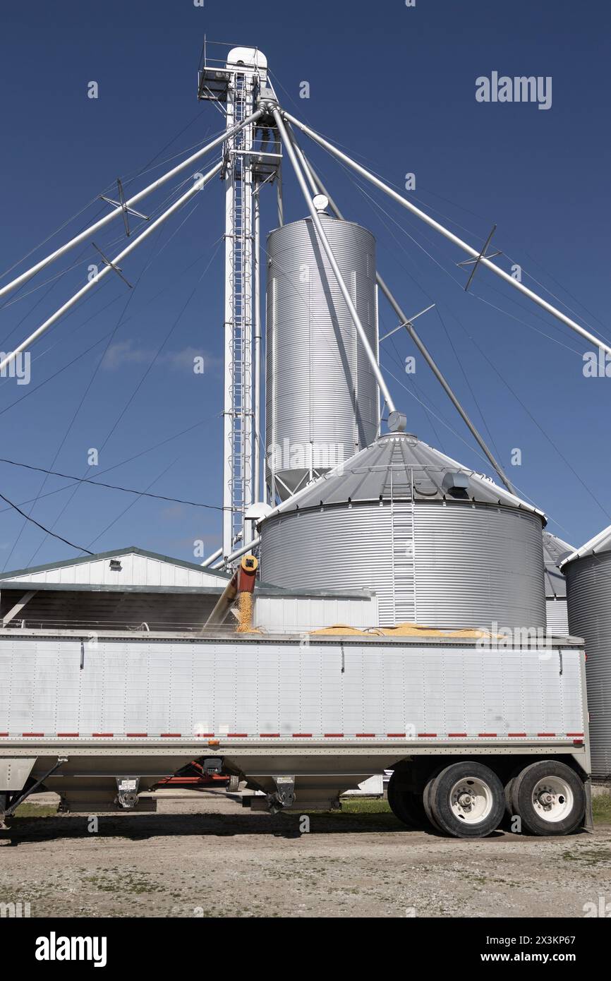 Forest - April 25, 2024: Corn loading onto a truck. After harvest, corn from grain bins loads ...