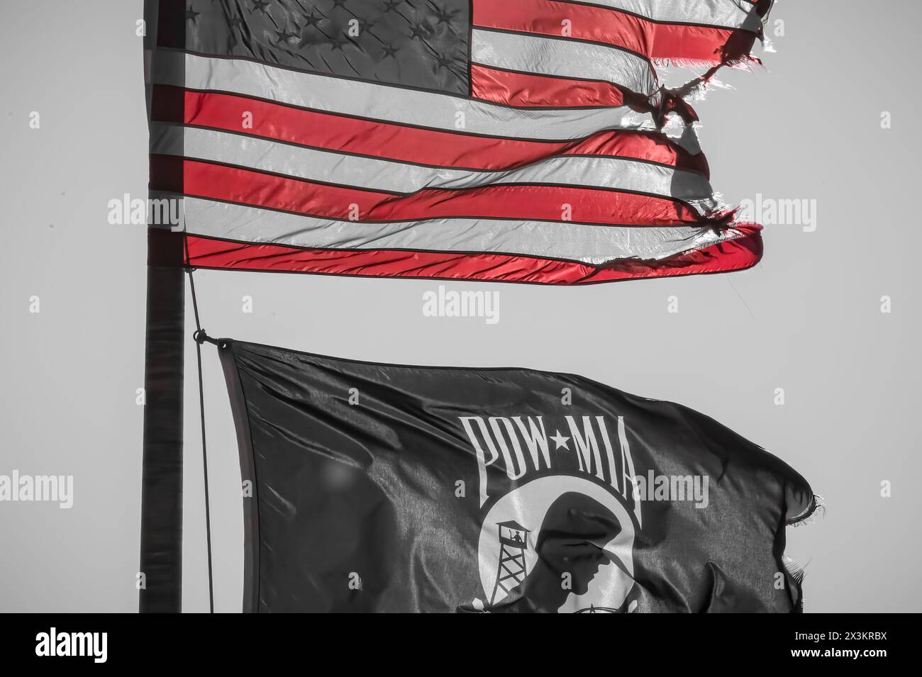 Poa symbol hi-res stock photography and images - Alamy