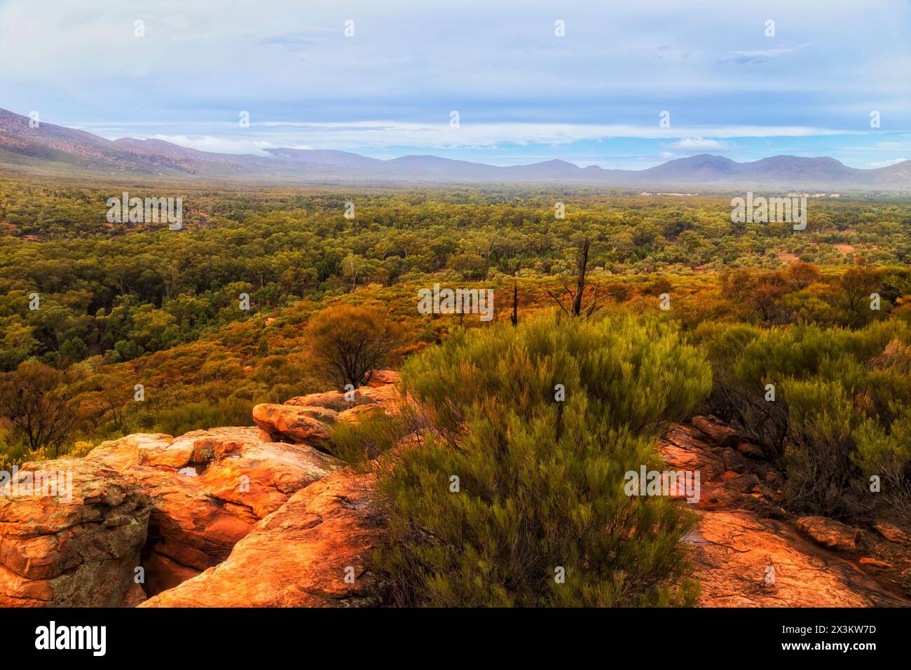 Inside remote Wilpena pound valley creek from elevation of Wangara ...