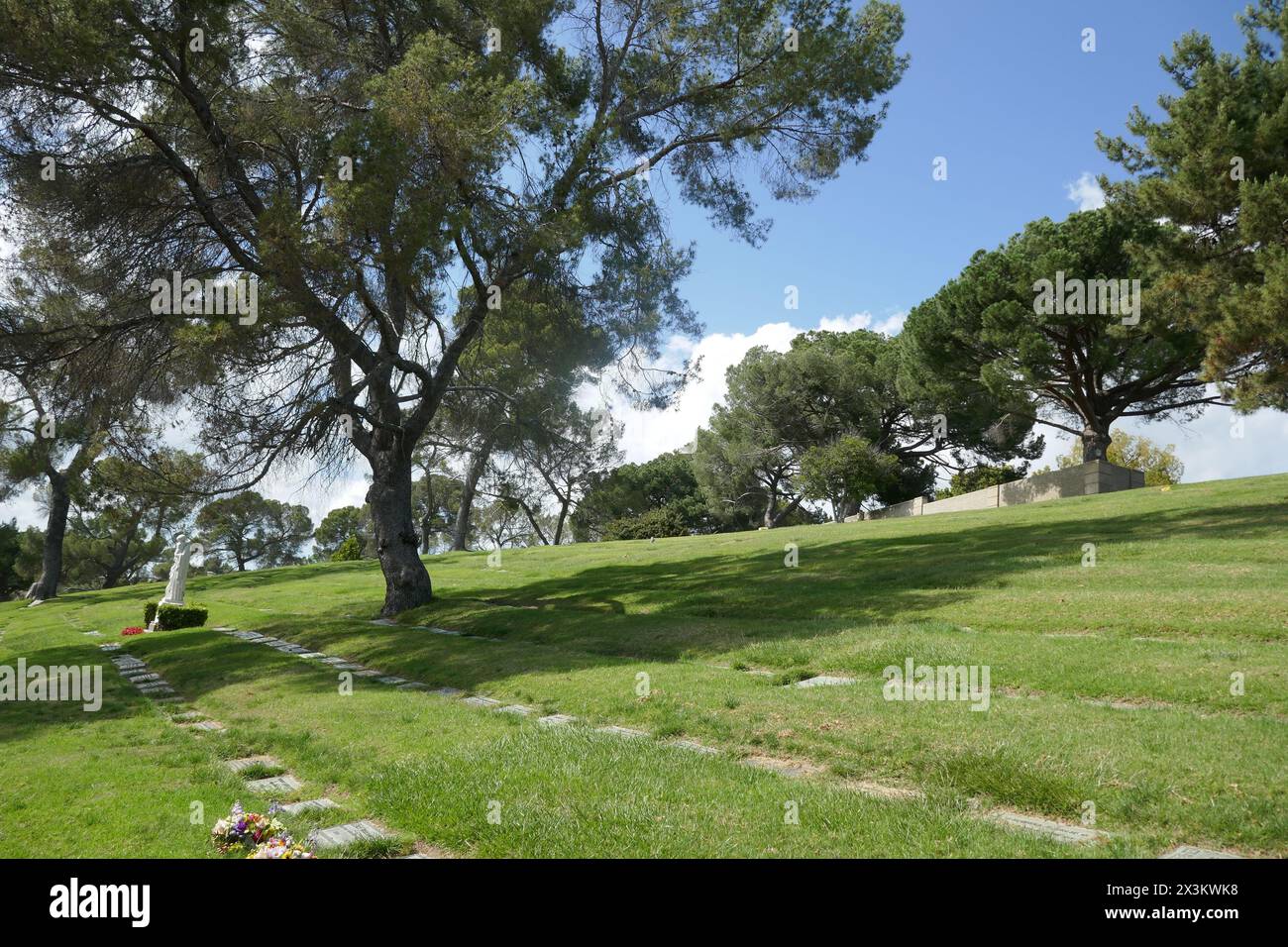 Glendale, California, USA 26th April 2024 Trees and Graves at Forest ...