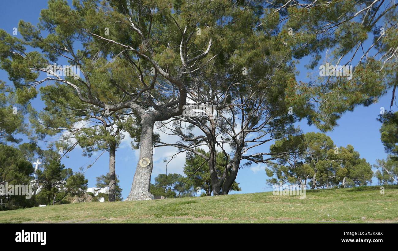Glendale, California, USA 26th April 2024 Actor Billy Benedict Grave in ...