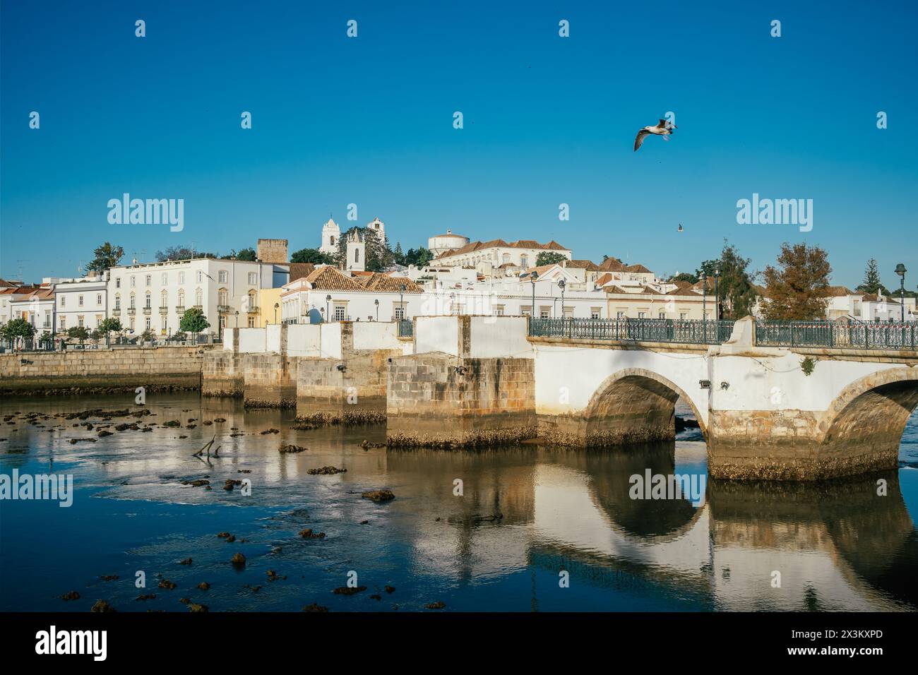 Tavira bridge medieval hi-res stock photography and images - Alamy